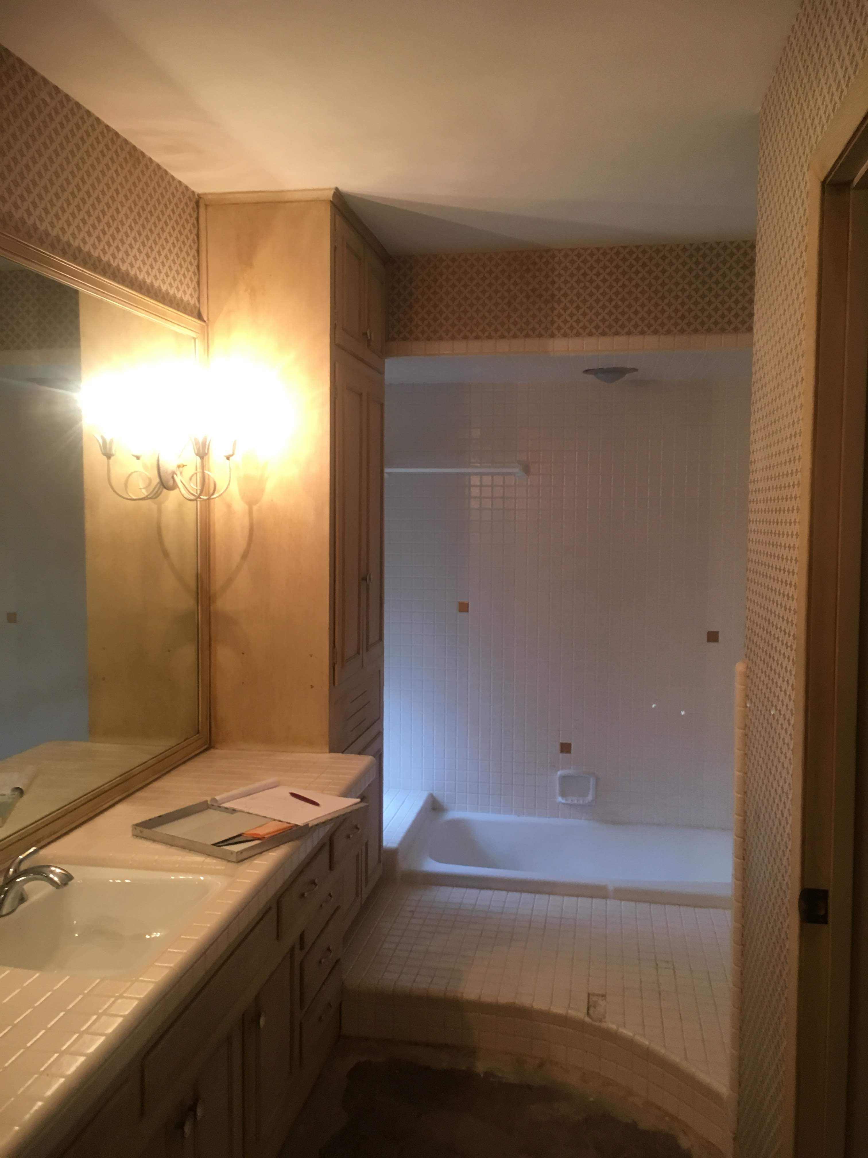 Super Shower ONE: demo and framing - Art Tile & Renovation